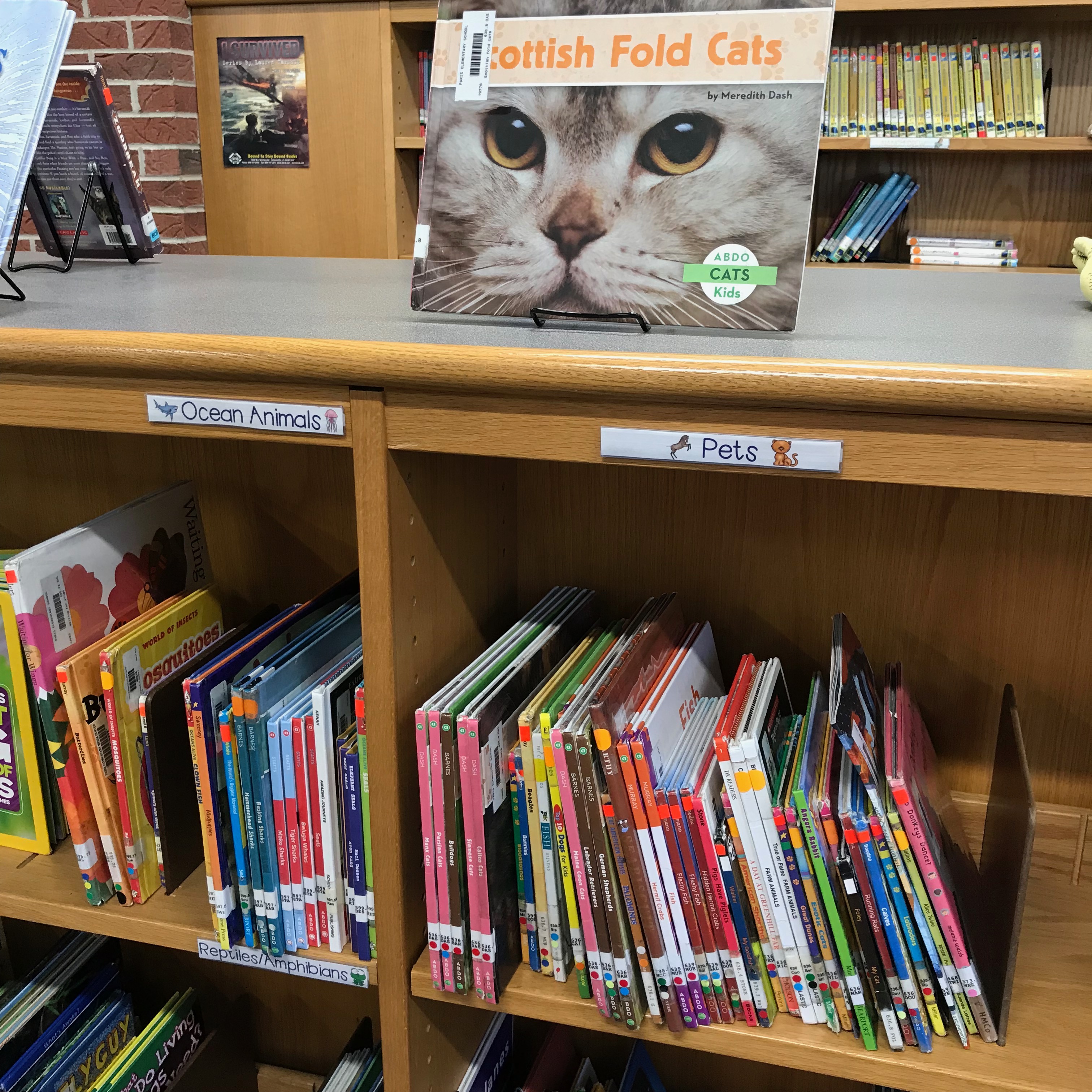 How I Increased My Nonfiction Circulation - Notes from the Portable